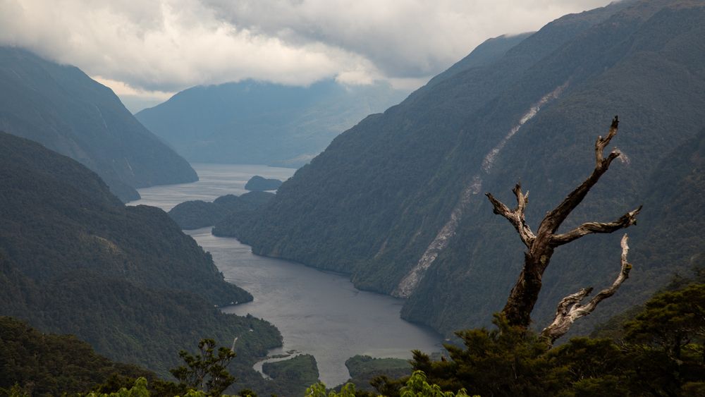 10 Stunning Fiords Tucked Away In New Zealand's Largest National Park