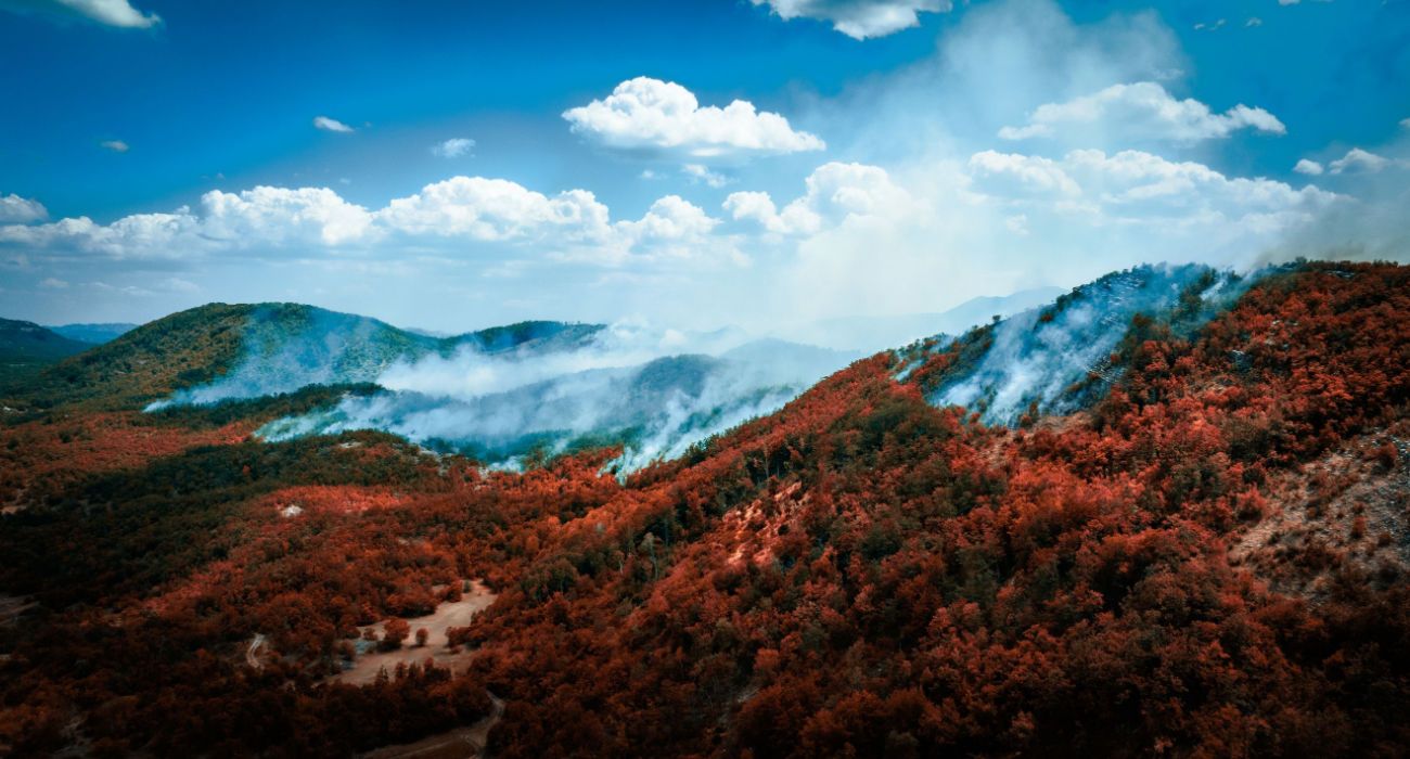 Scientists Found A Giant Spider Fossil In This Unsurprising Country