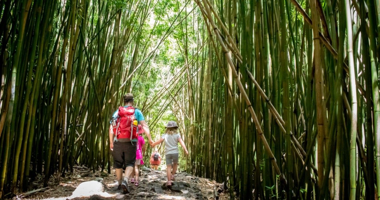 10 Best Hikes In Maui Where You Can Embark On Scenic Trails And ...
