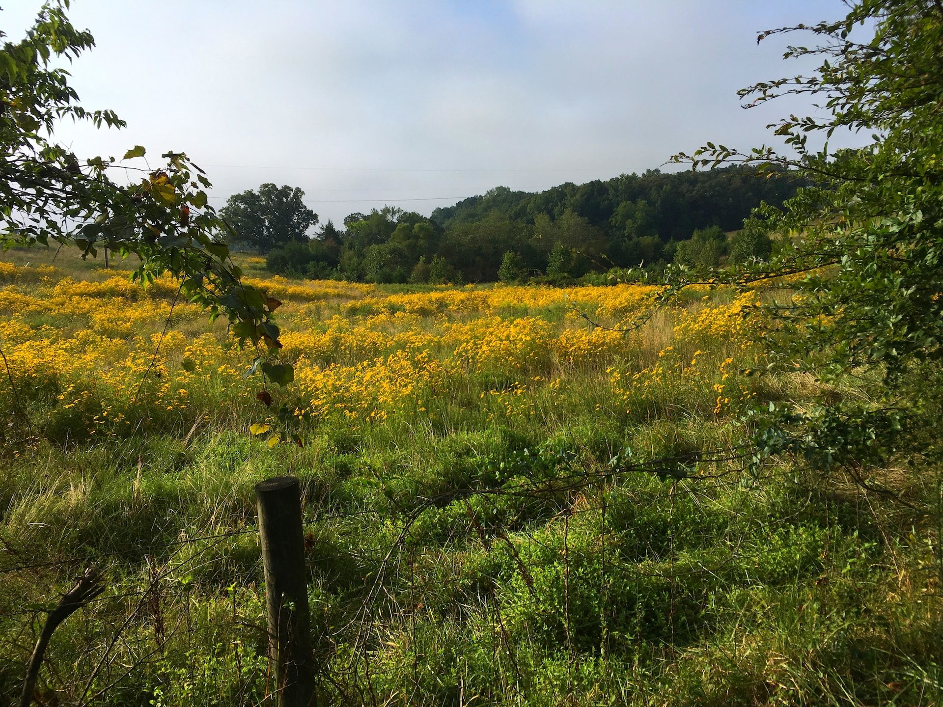 10 Beautiful Destinations To Visit In Virginia This Summer