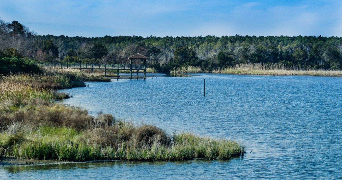 10 Myrtle Beach To Charleston: 10 Road Trip Stops That Unveil Hidden ...