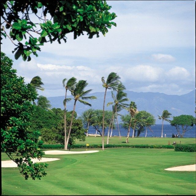 Retire To Hawai'i: 10 Reasons Maui Might Be The Perfect Retirement ...