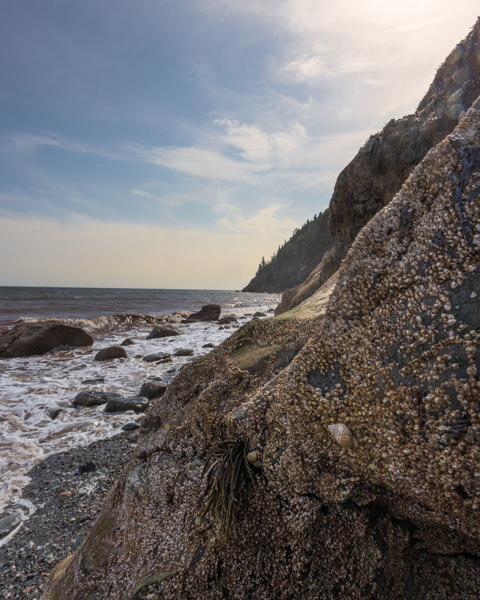 14 Pretty Coastal Towns In New Brunswick You Must Visit