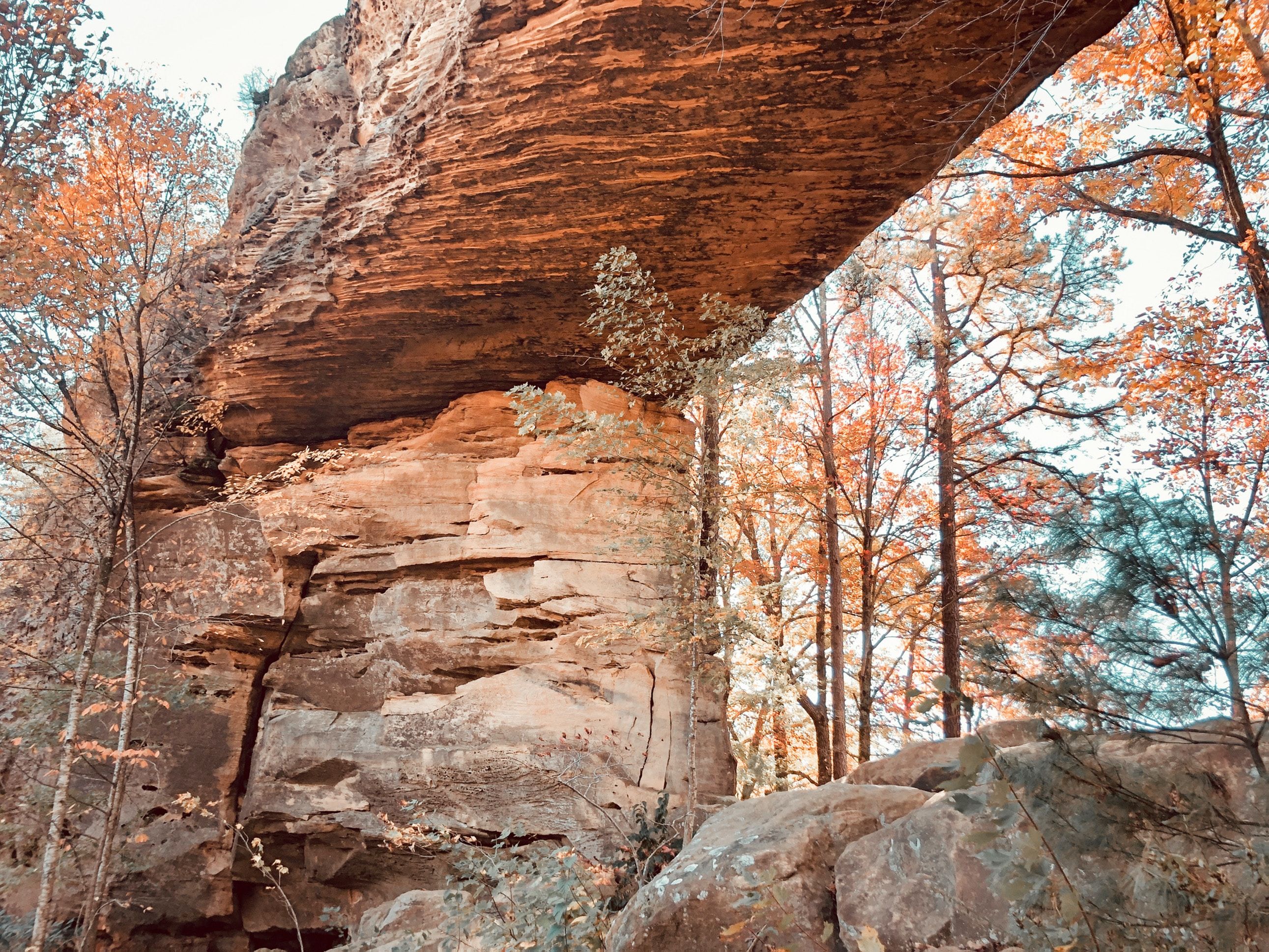 10 Top Rock-Climbing Destinations In The US For 2023