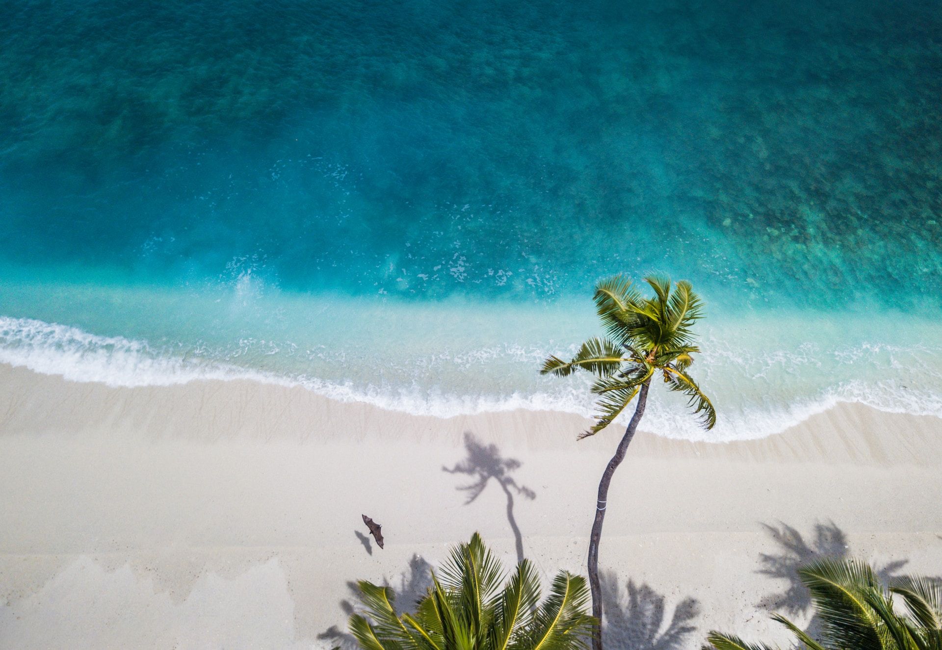 Anguilla Top 10: How To Explore This Beautiful Island