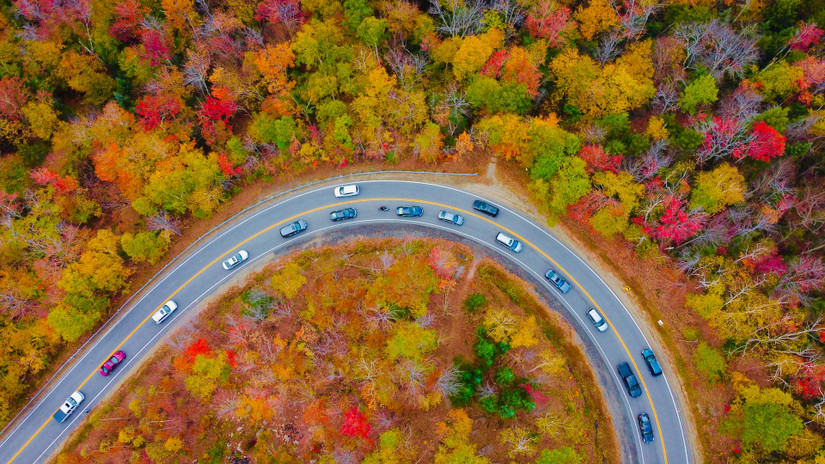 10 Most Beautiful Road Trips To Take For Fall Foliage In The U.S.