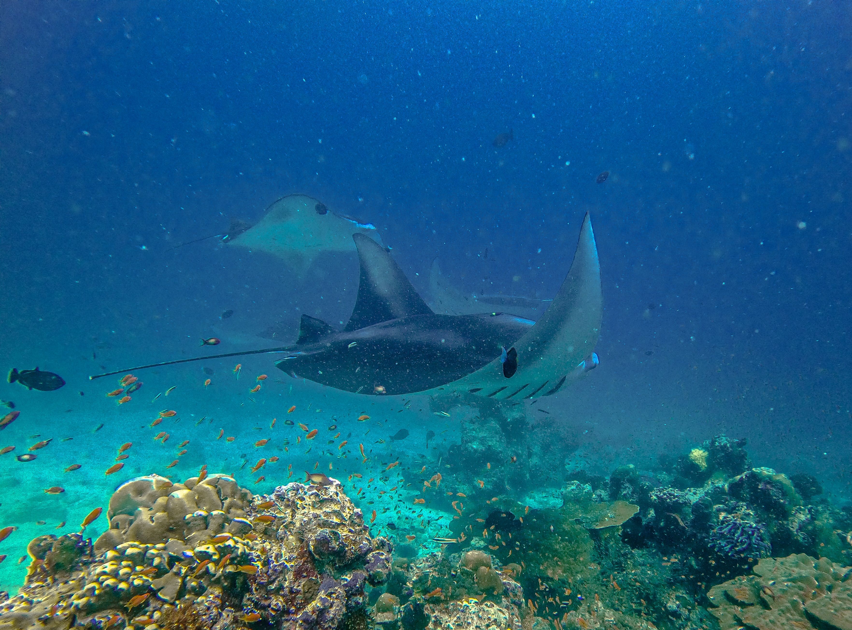 10 Things You May Not Know About The Maldives