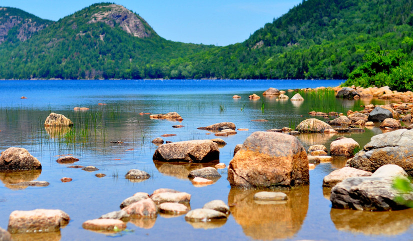 The 10 Best Dog-Friendly Hikes In Acadia National Park