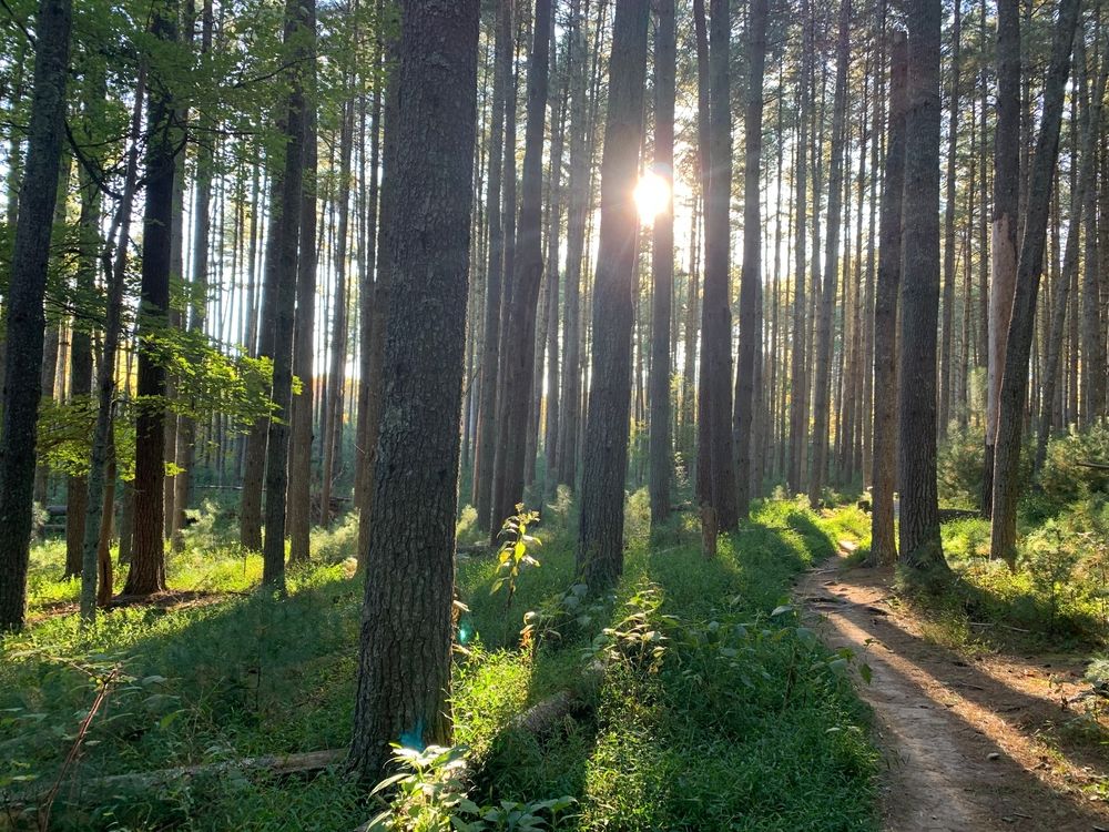 10 Beautiful Destinations To Visit In Virginia This Summer