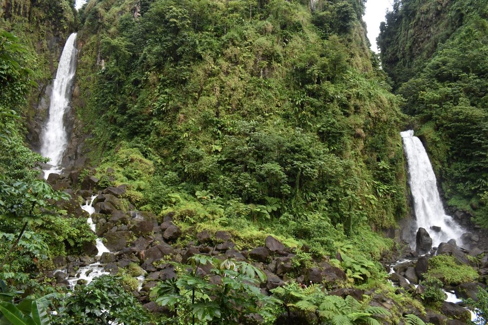 10 Things To Do In Dominica: Complete Guide To The Caribbean's Best ...