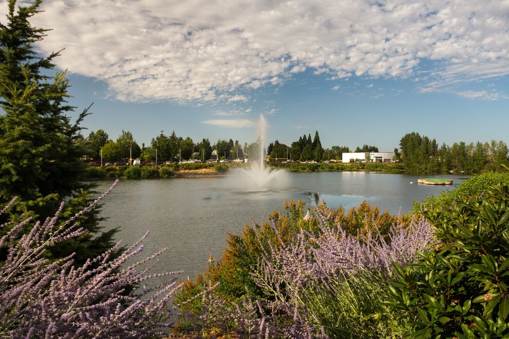 15 Things To Do In Salem: Complete Guide To Oregon's Iconic Small Town