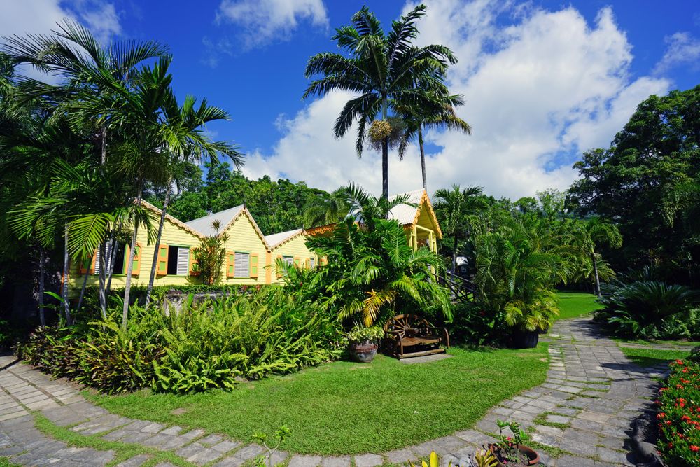 Not Too Popular, But Exciting: 10 Best Things To Do In St Kitts And Nevis