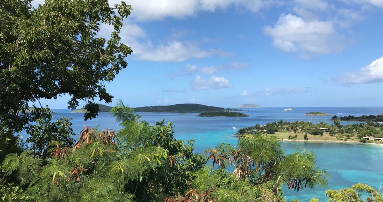 10 Best Hotels In St John's US Virgin Island That Offer A Serene Hideaway