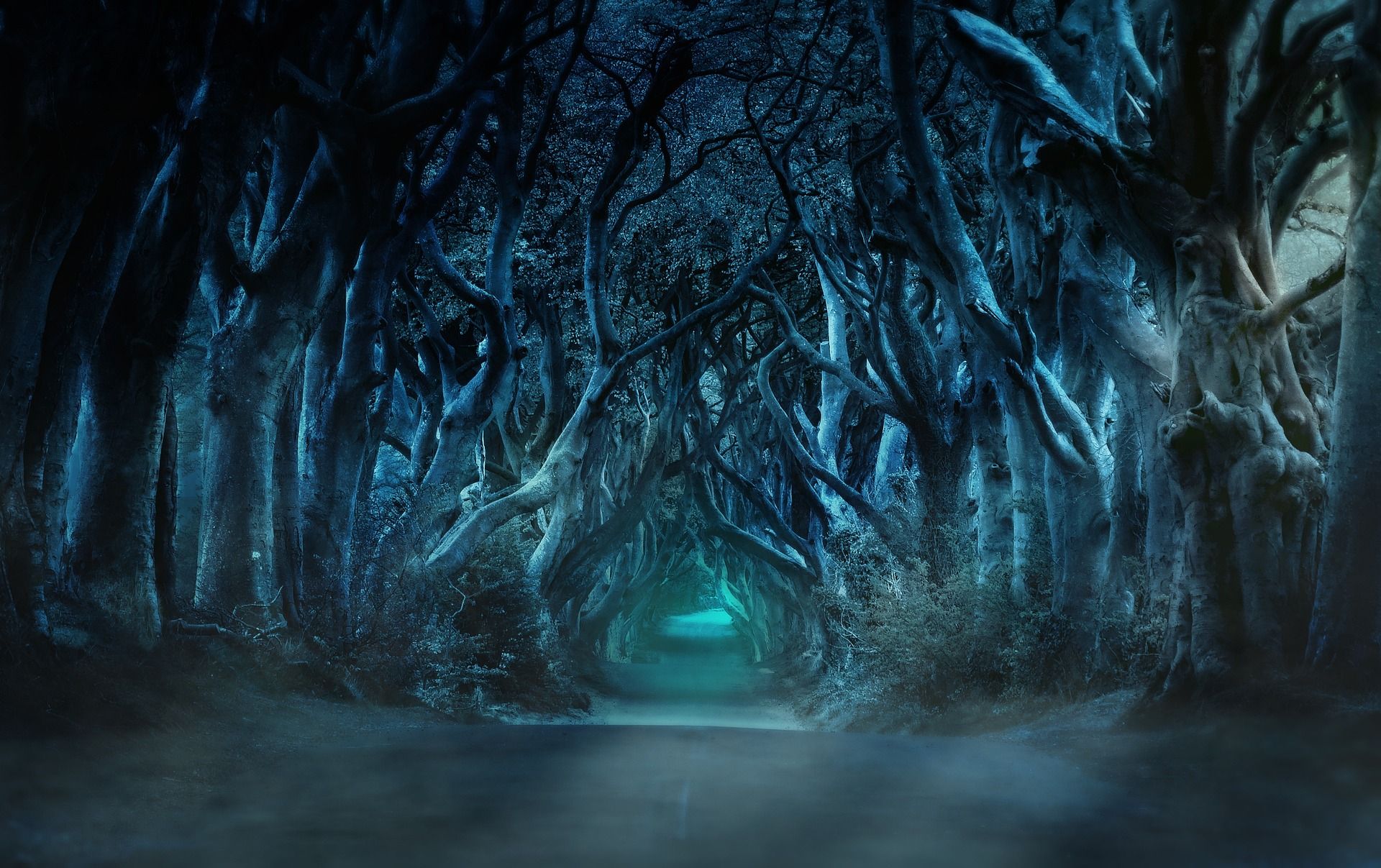 Visit The Dark Hedges: One of The Most Enchanting Places In Northern ...