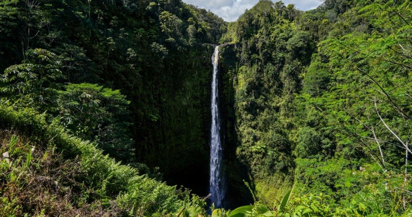 Hundreds Of Scuba Divers Perish Each Year In The US: Here's Why