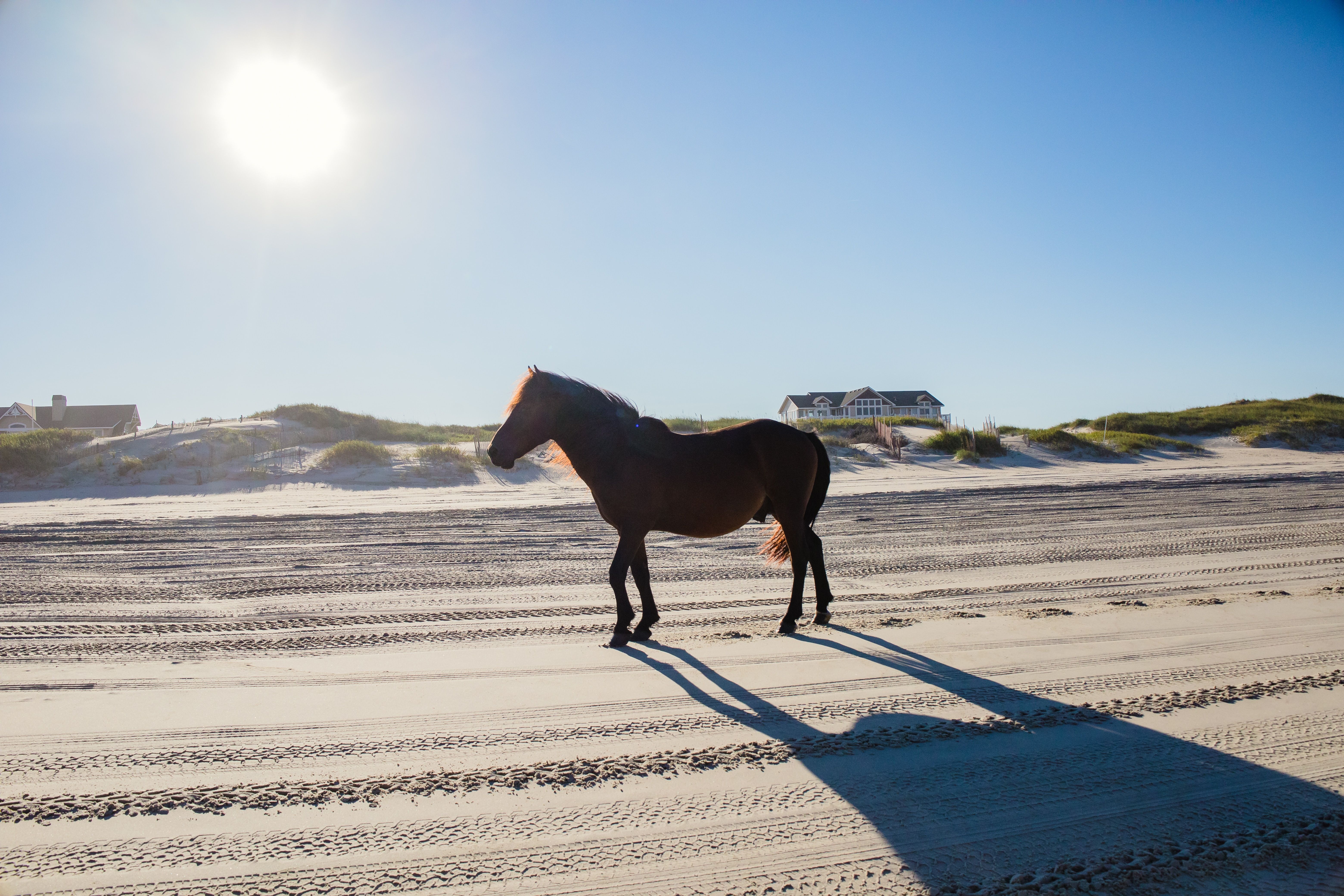 10 Incredibly Beautiful Natural Spots On The East Coast