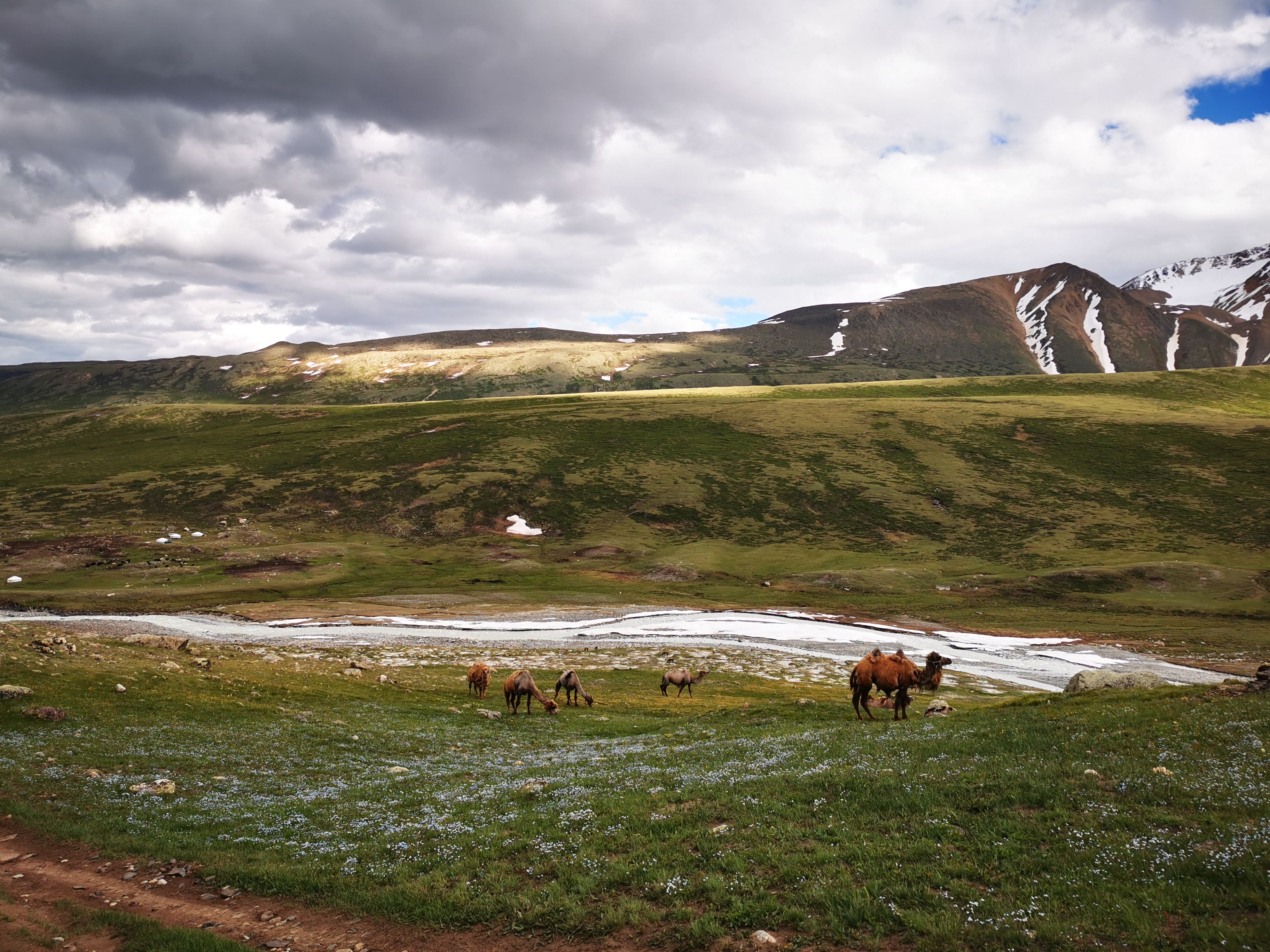 Discover Stone-Age Petroglyphs Remote In The Mongolian Altai Mountains