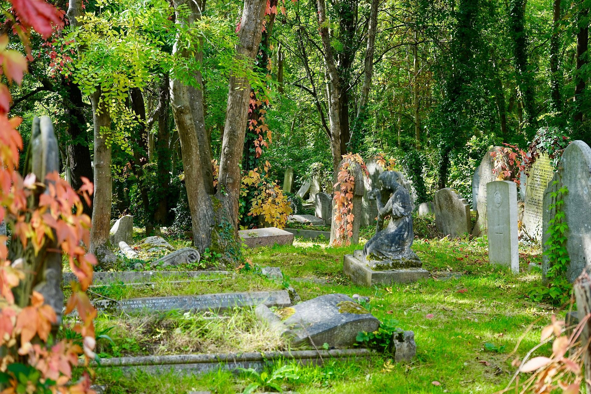 Creep City: 10 Largest Cemeteries In The World That Will Make You Feel ...