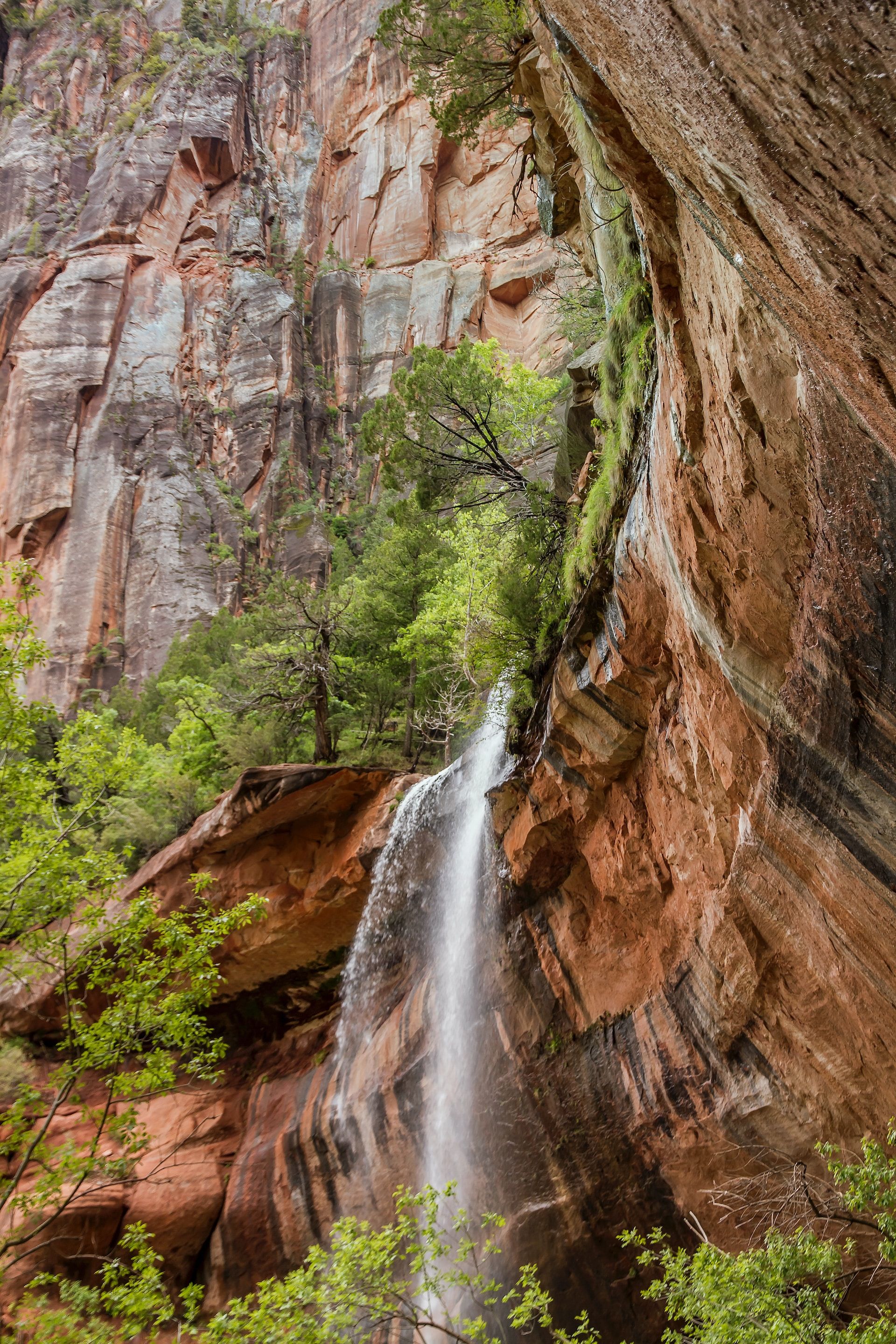 Adventures In Hiking: 10 Best Hikes You Can Do In Zion National Park
