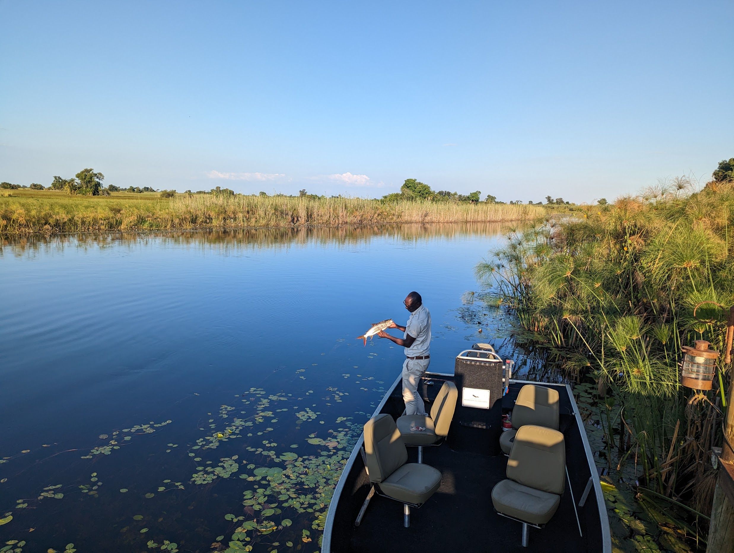 This Secluded Island Retreat In Botswana Is The Perfect Wildlife Escape