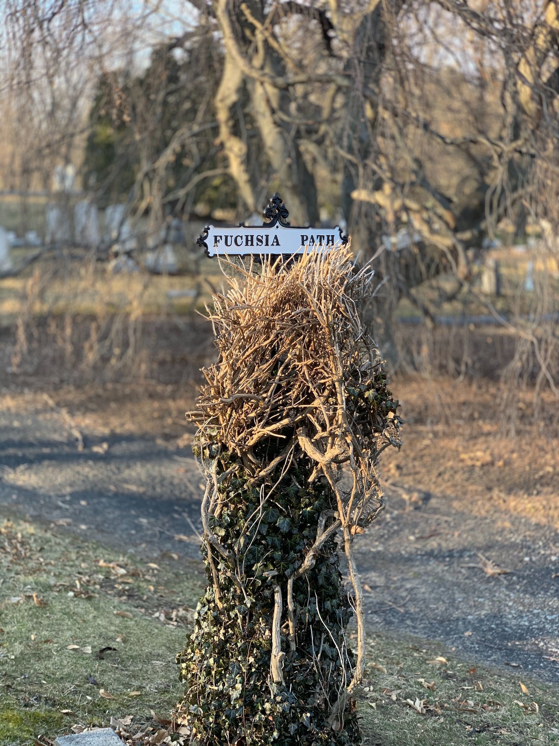 10 Beautiful Cemeteries That Defy All Logic When It Comes To Scenery