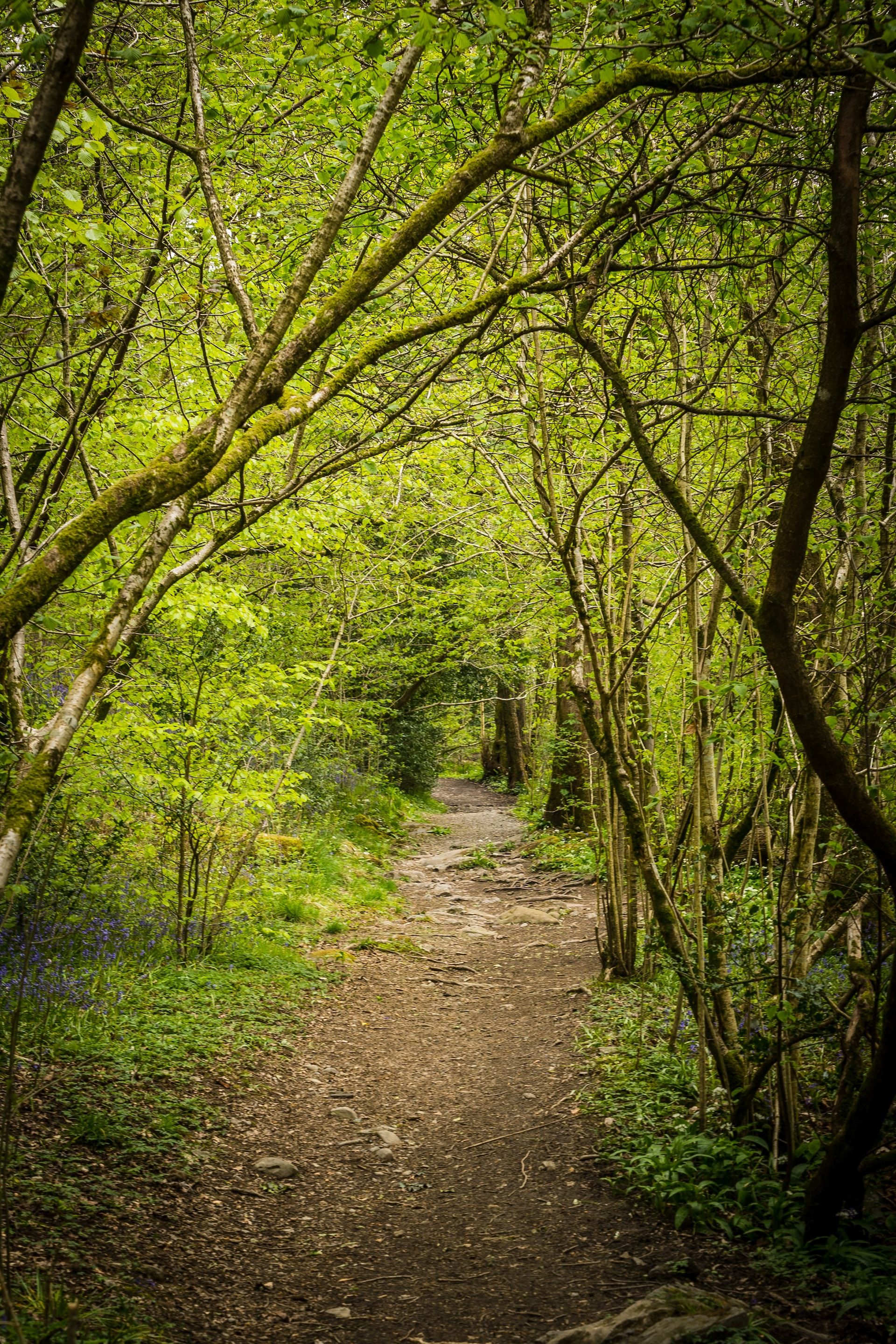 Visit Pluckley & Find Out Why It's The Most Haunted Village in England