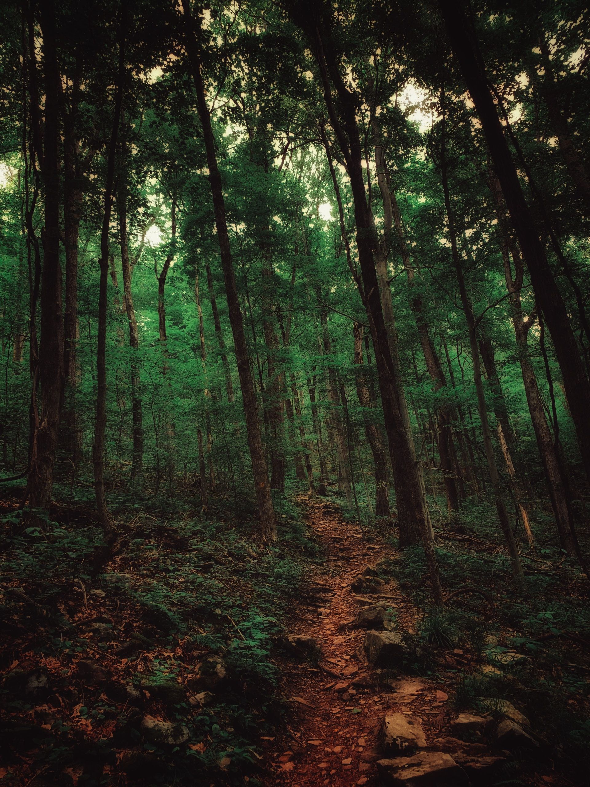 10 Most Beautiful Hikes You Can Do In Pennsylvania