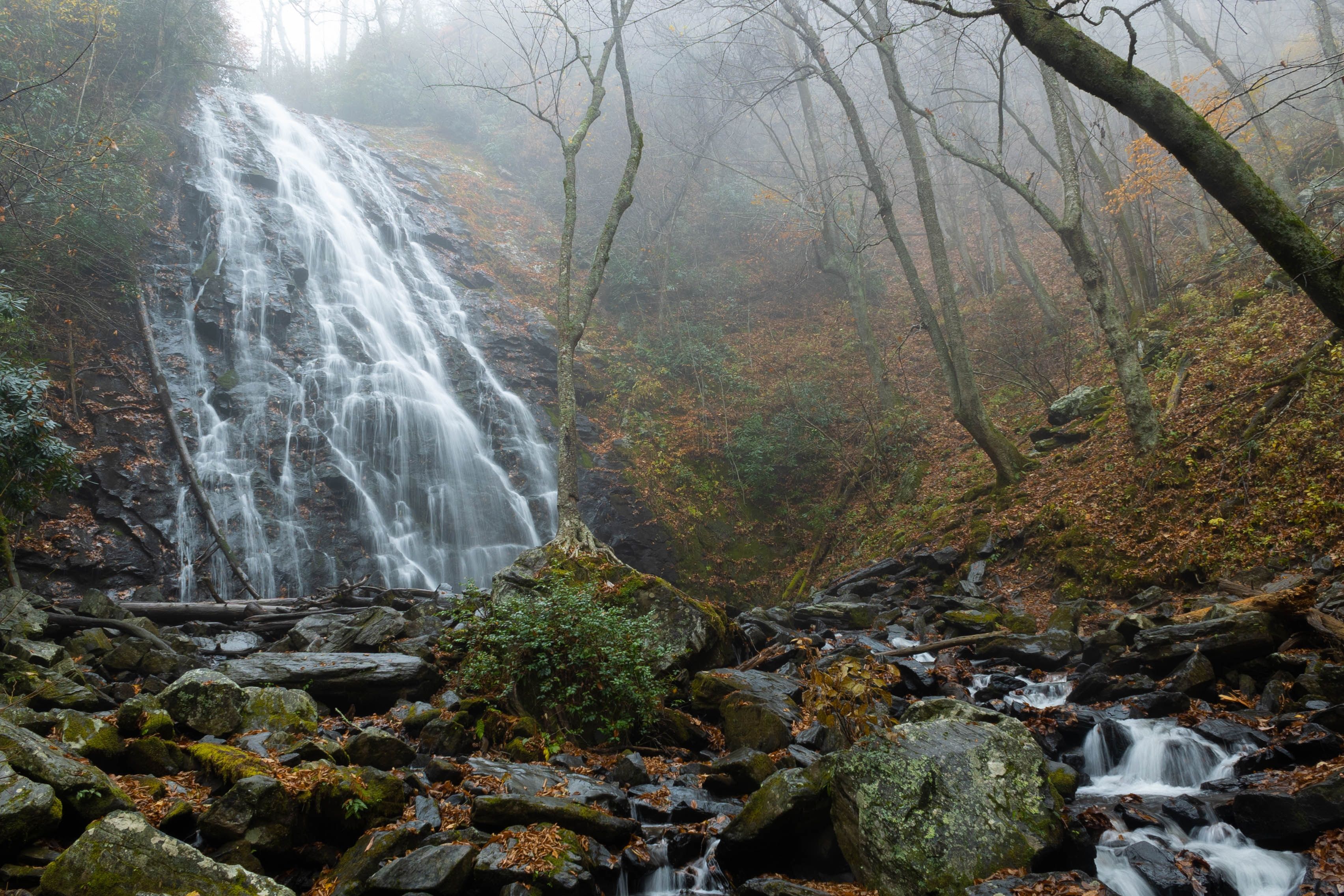 7 Best Fall Foliage Hikes In North Carolina In 2024