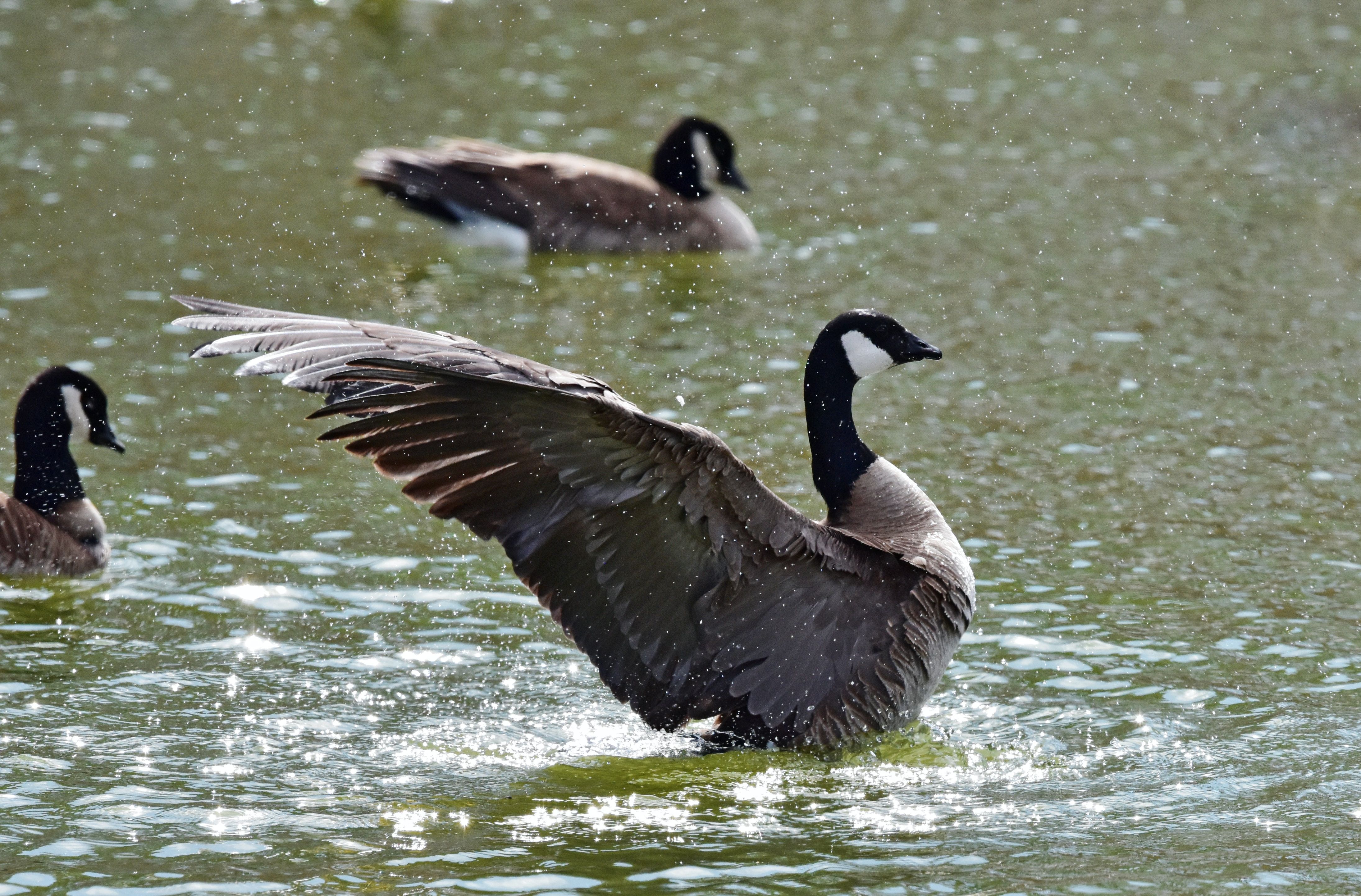 10 Completely Free Things To Do In And Around Moab, Utah