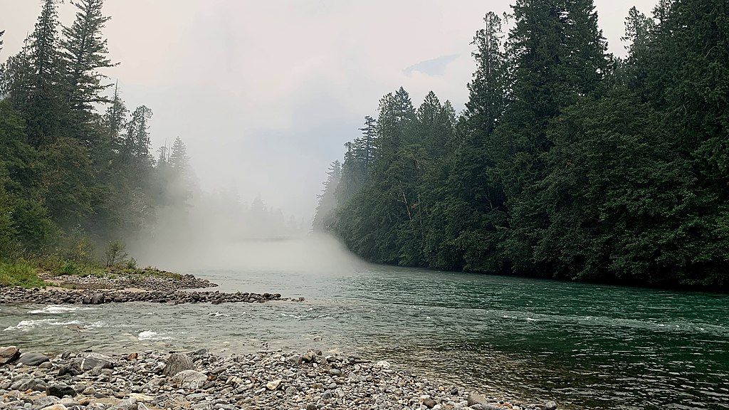 10 Things You'll Experience On The Scenic Cascades Train Route From ...