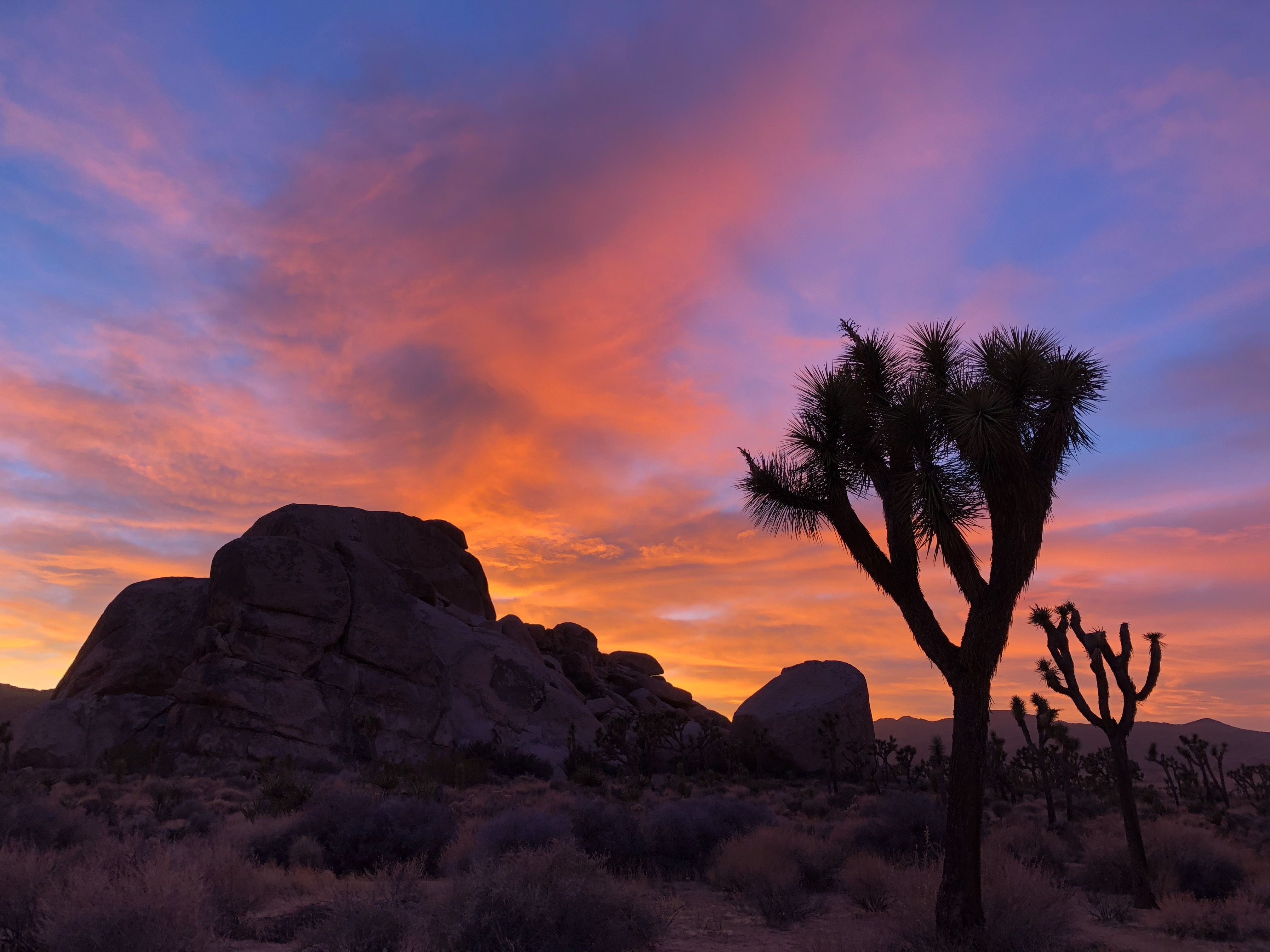10 Best Glamping Options In Joshua Tree National Park