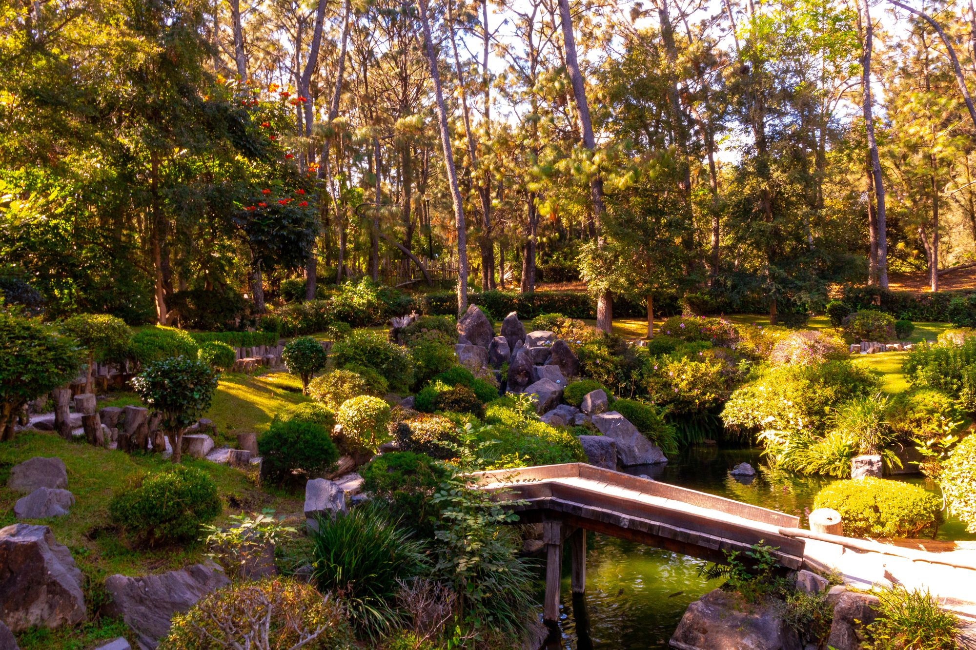 10 Things To Do In Guadalajara: Complete Guide To Mexico's Cultural ...