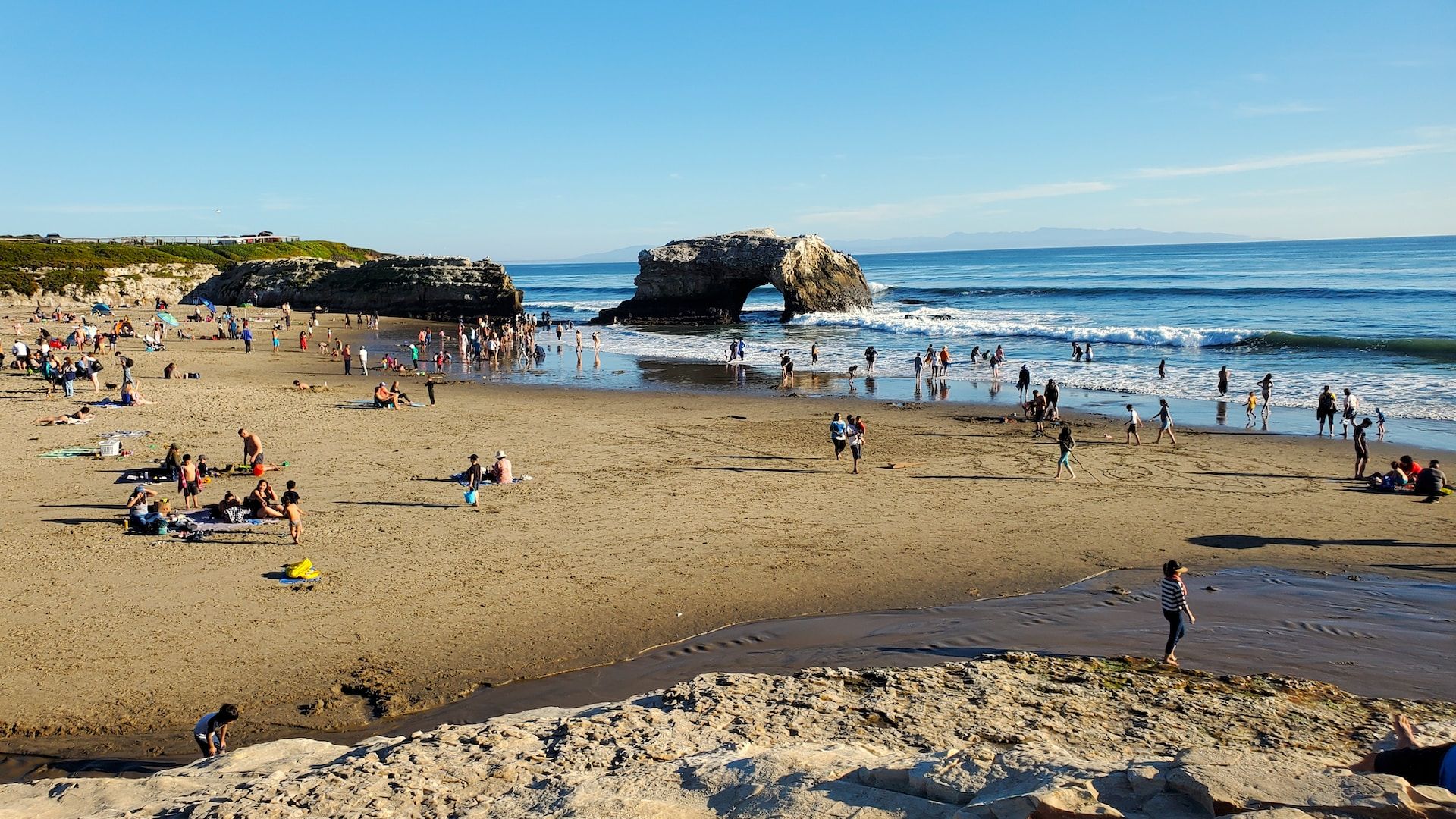 12 Things To Do In Monterey: Complete Guide To Marine Life, Tidepools ...