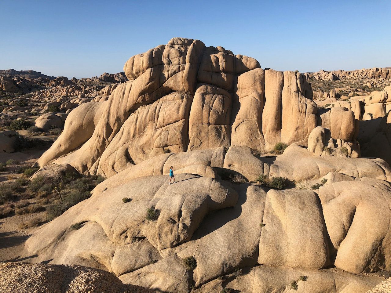 12 Most Scenic Hikes In Joshua Tree National Park