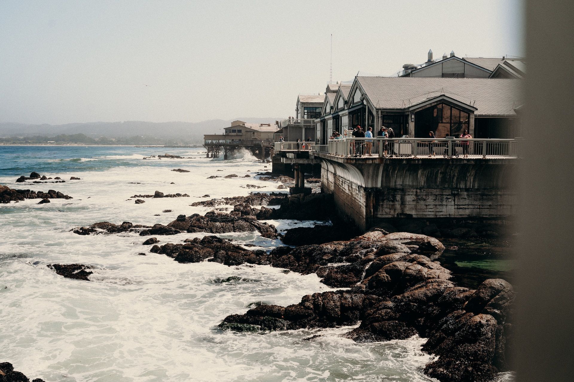 12 Things To Do In Monterey: Complete Guide To Marine Life, Tidepools ...