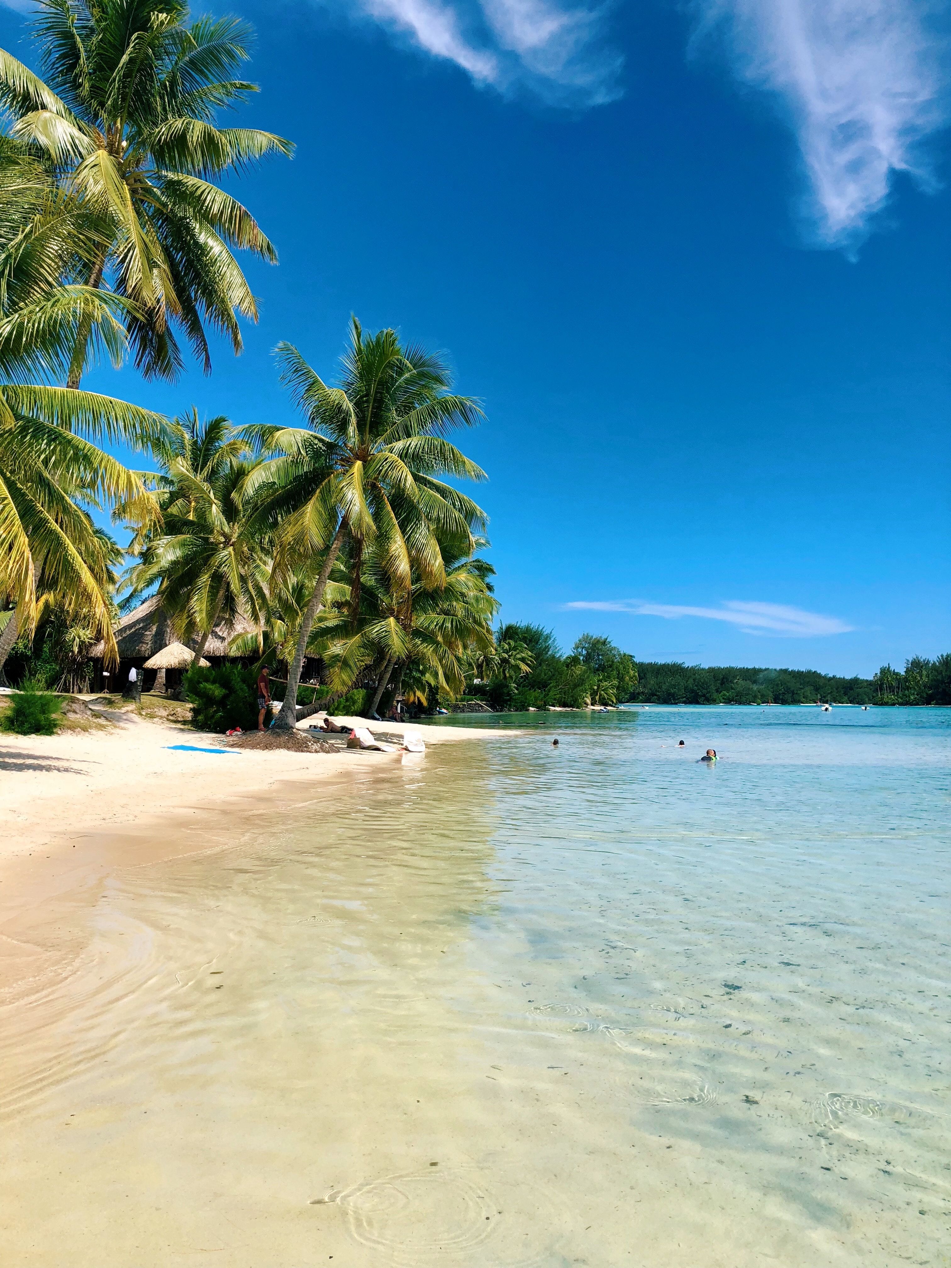 10 Best Moorea Hotels To Enhance Your Polynesian Paradise