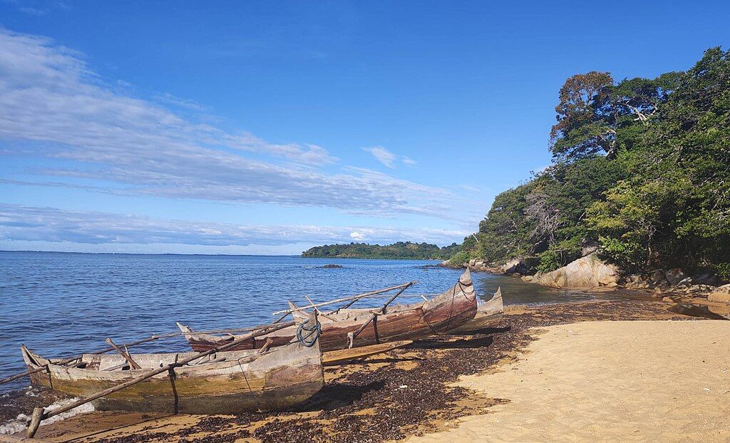 10 Reefs Around The World That Look Drastically Different Now Than They ...