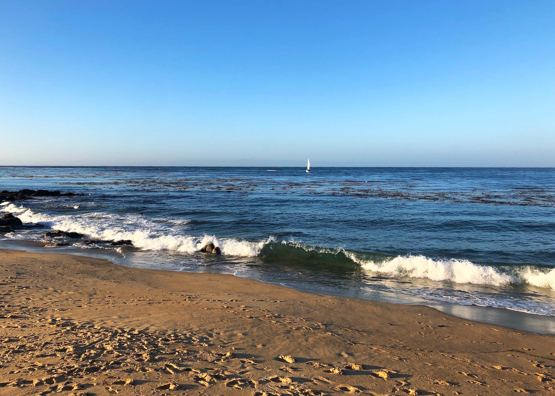 12 Things To Do In Monterey: Complete Guide To Marine Life, Tidepools ...