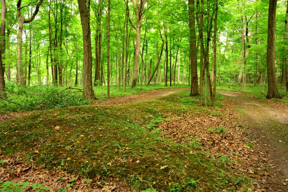 10 Things To Know About Lizard Mound, Wisconsin's Newest State Park