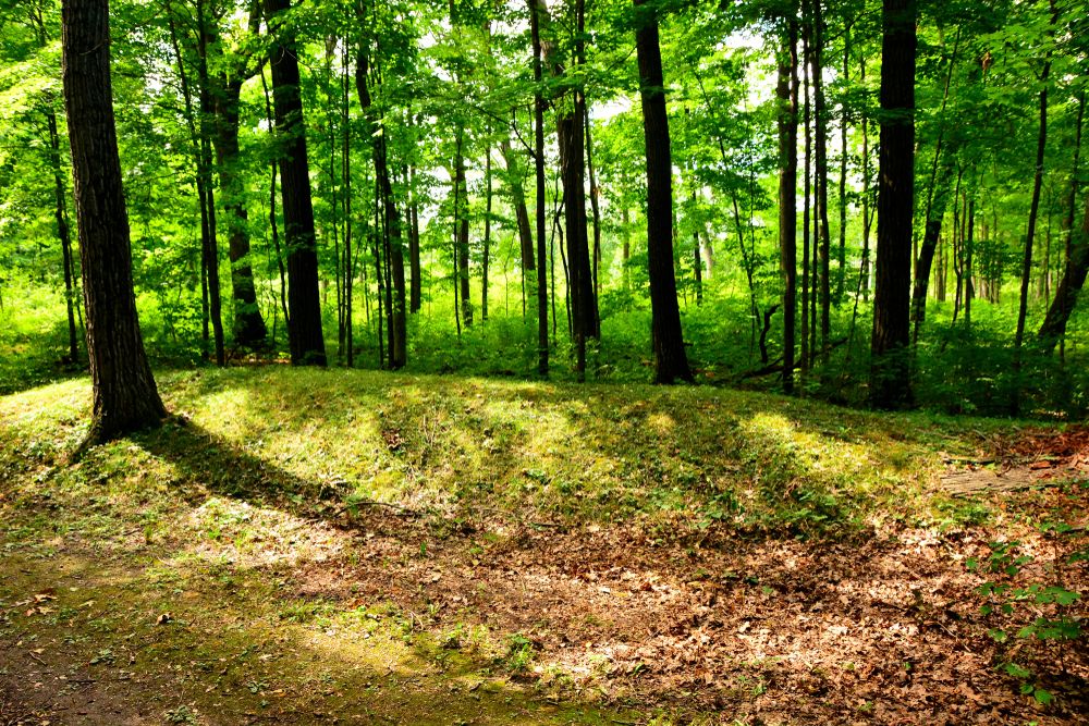 10 Things To Know About Lizard Mound, Wisconsin's Newest State Park