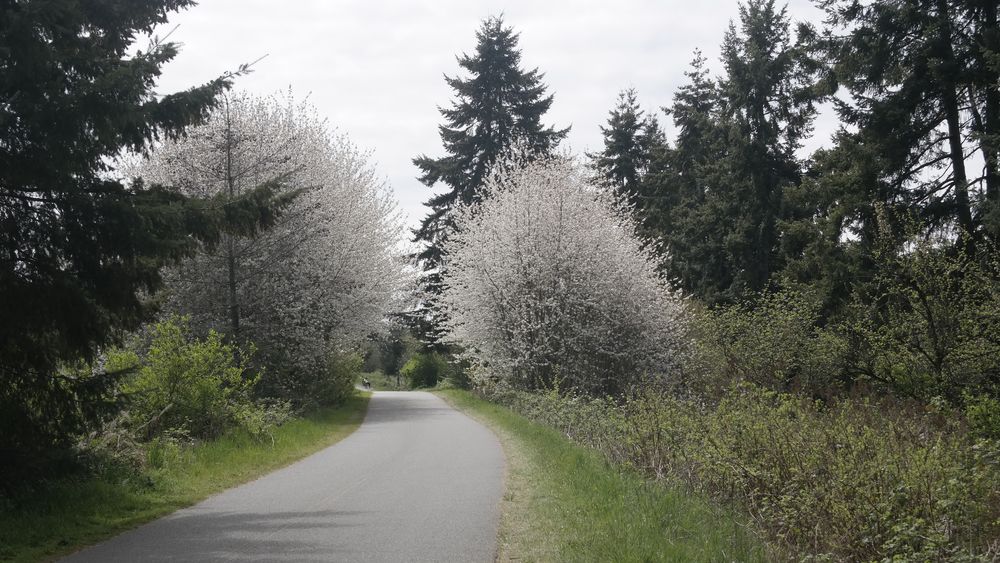 Exploring The Evergreen State: 10 Best Hikes You Can Take In Washington