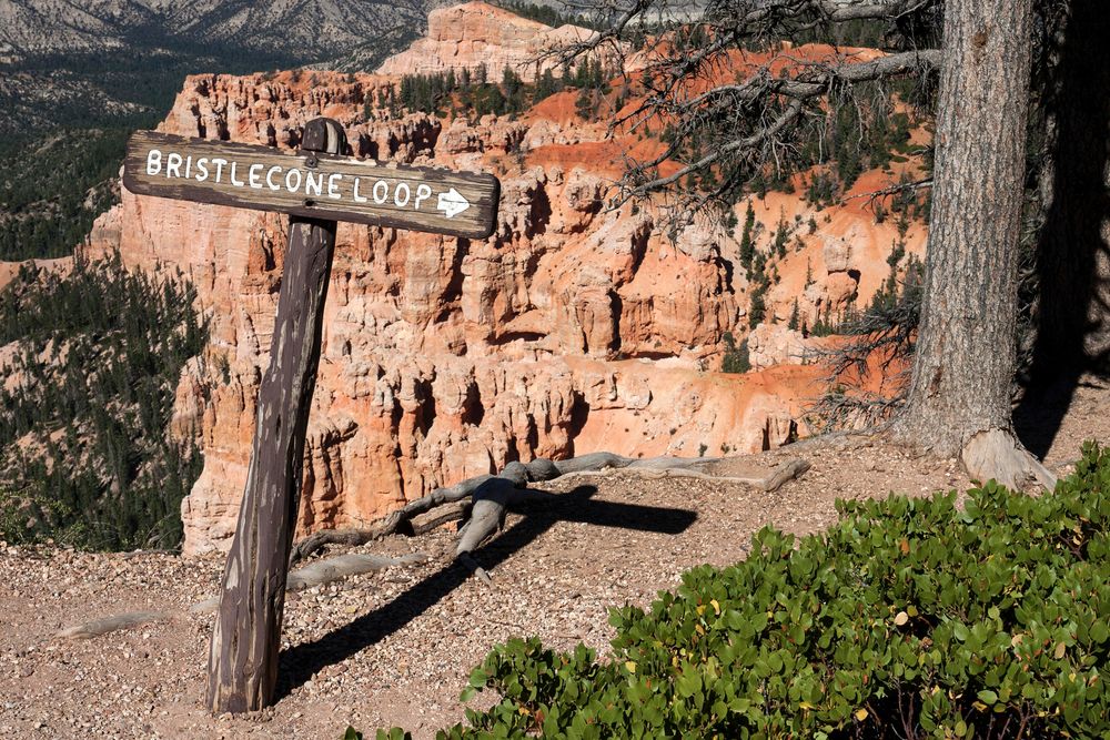 12 Best Hikes In Utah's Bryce Canyon National Park