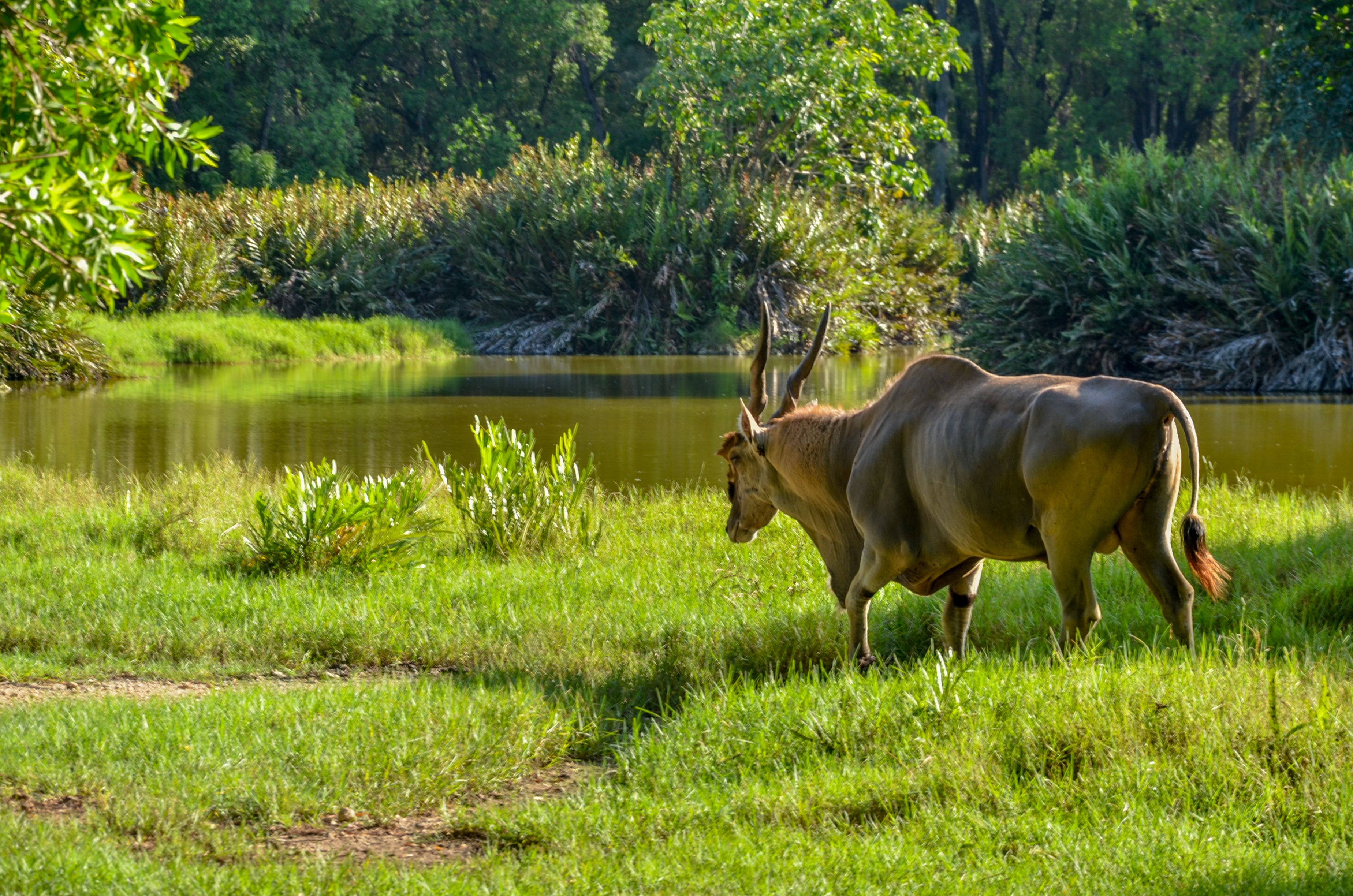 Kenya's Hidden Gem: 10 Best Things To Do In Mombasa
