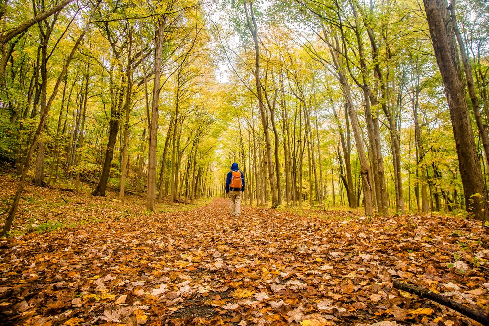 10 Most Beautiful Hikes You Can Do In Connecticut