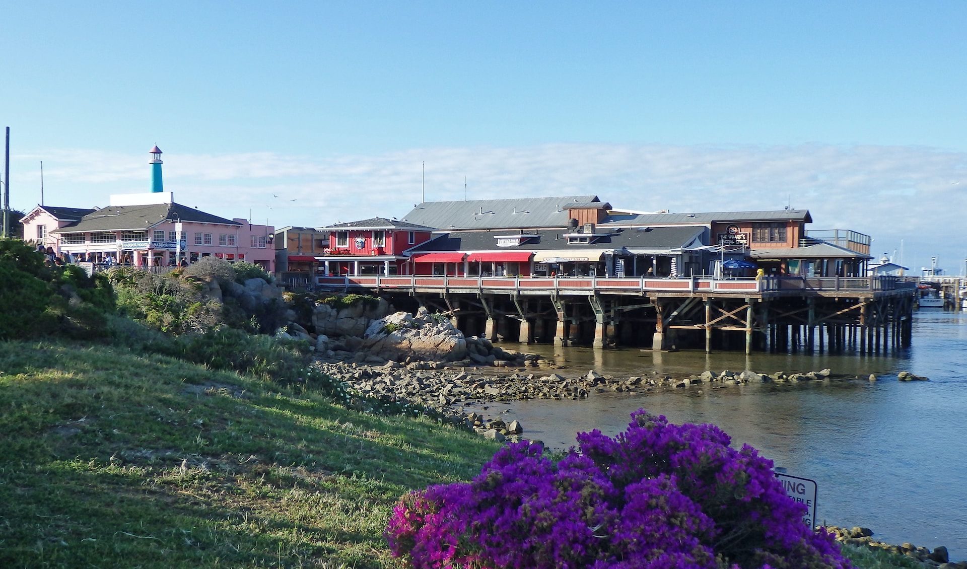 12 Things To Do In Monterey: Complete Guide To Marine Life, Tidepools ...