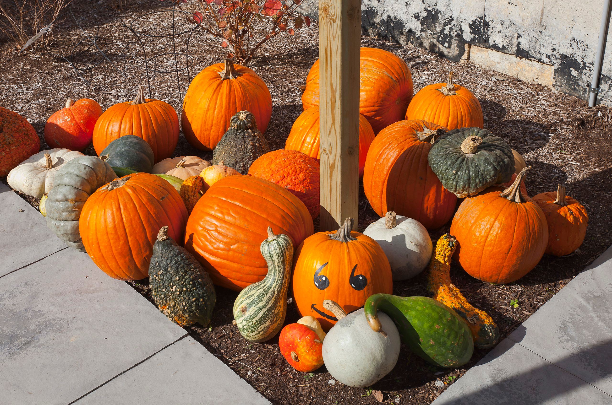 10 Reasons Why The Autumn Season Is The Best Time To Visit Indiana