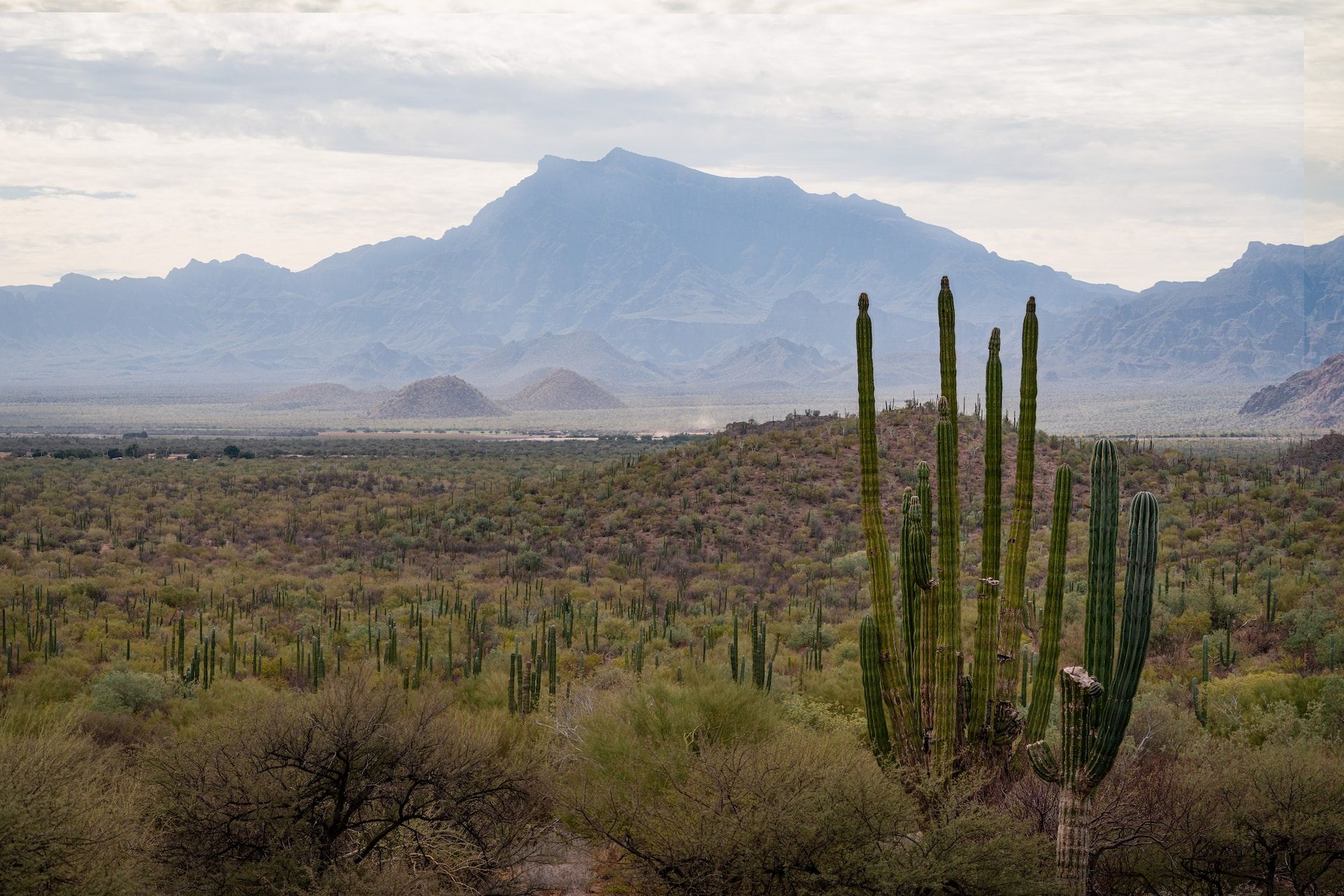 10 Reasons Why You Should Visit Northern Baja In Mexico Next