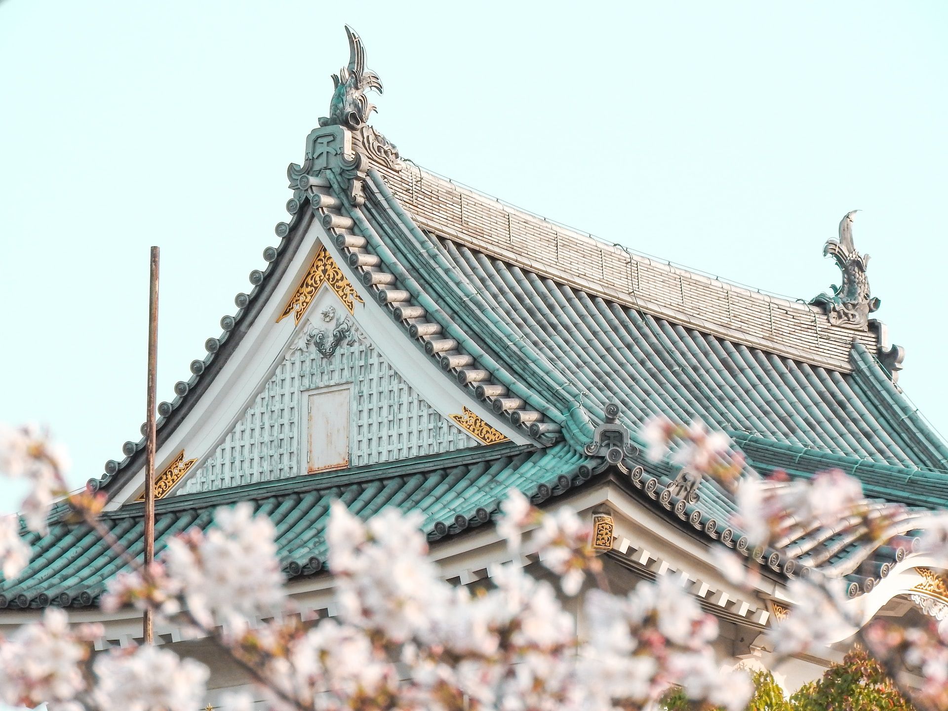 After Cherry Blossom Season, Here Are 10 Unique Activities To Enjoy In ...