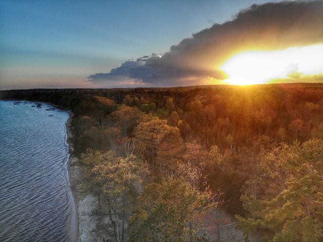 Check Out These 10 Michigan Lakes With Sandy Beaches