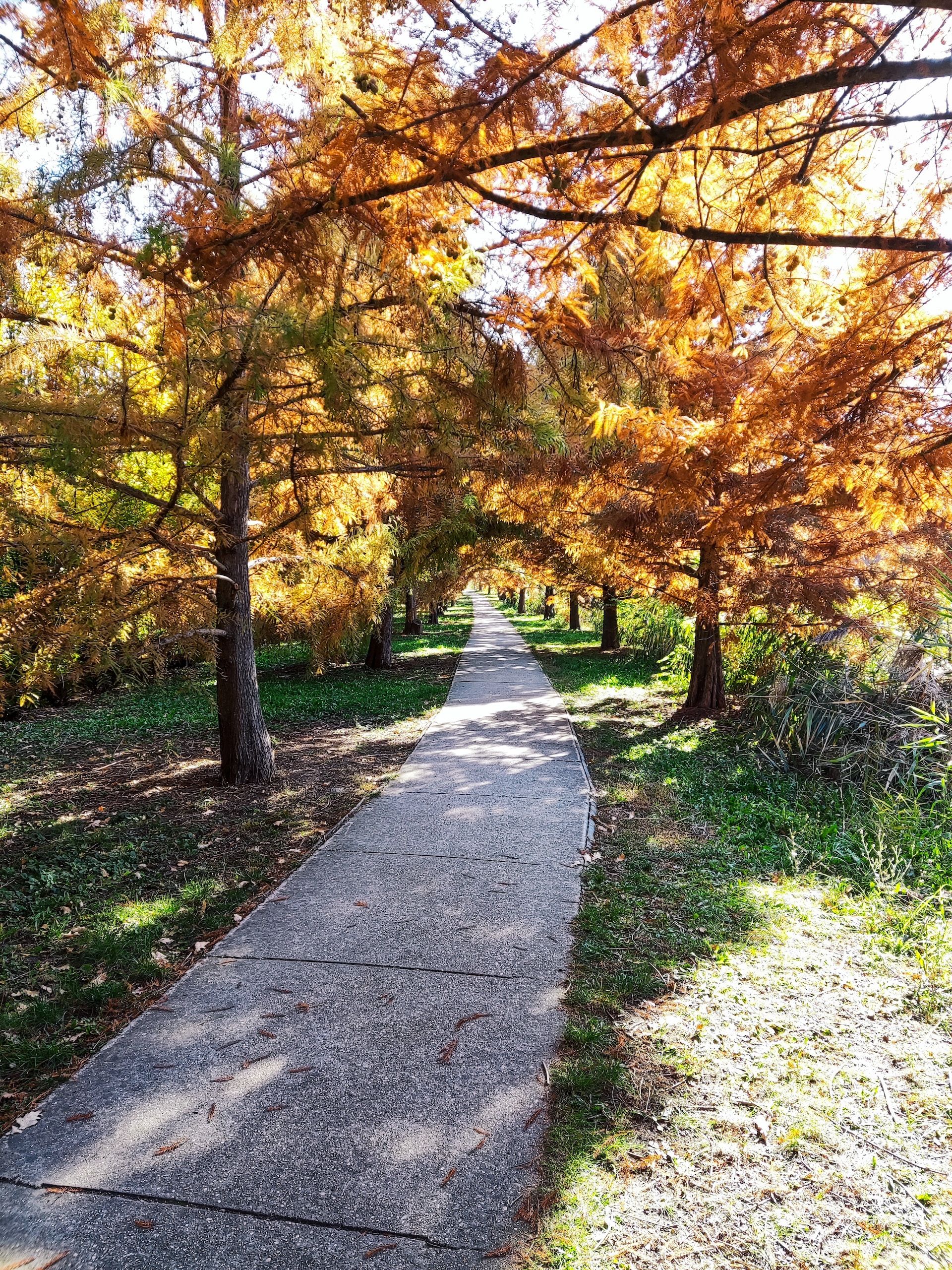 10 Underrated Towns To Visit In Eastern Europe During The Fall